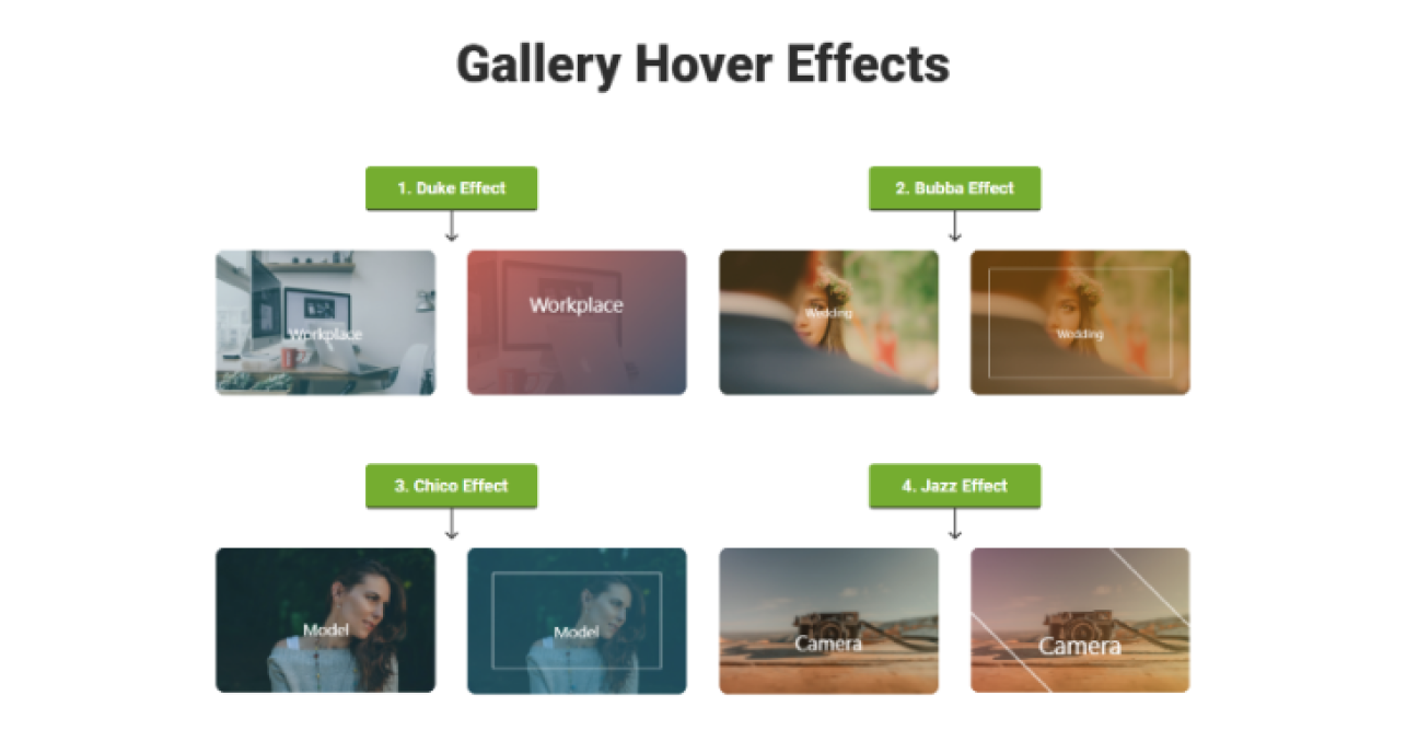 Gallery Showcase Pro for WordPress by techeshta | CodeCanyon